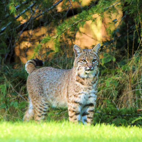 Stream Joshua Sladden music | Listen to songs, albums, playlists for ...