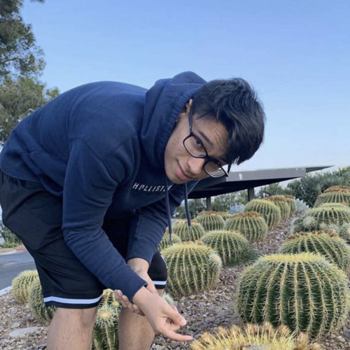 Stream ryan basdao so done by Fire Sauce | Listen online for free on ...