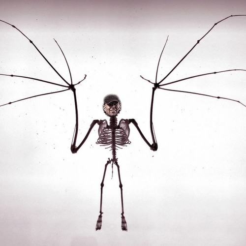 Stream finboy music | Listen to songs, albums, playlists for free on ...