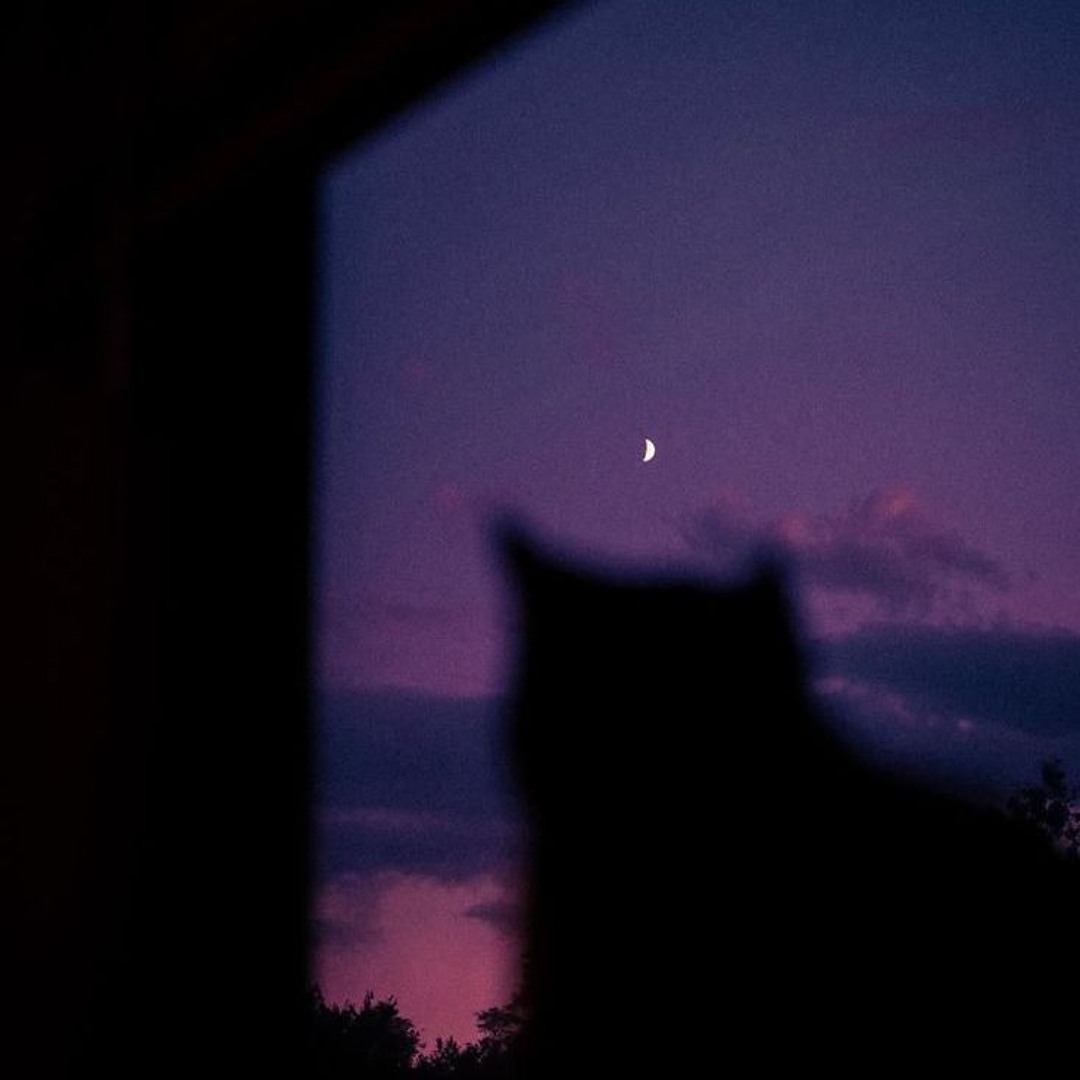 Stream Ms Sleepster music | Listen to songs, albums, playlists for free ...