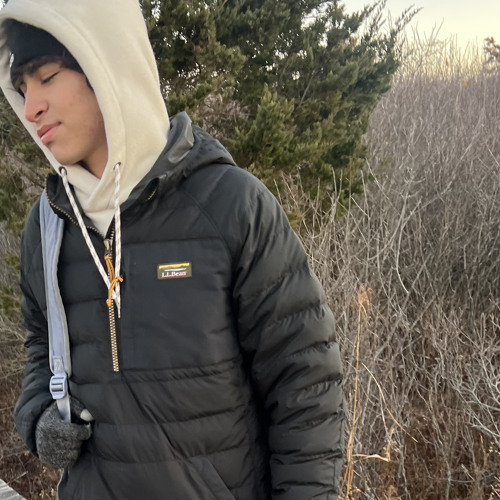 Stream berick music | Listen to songs, albums, playlists for free on ...