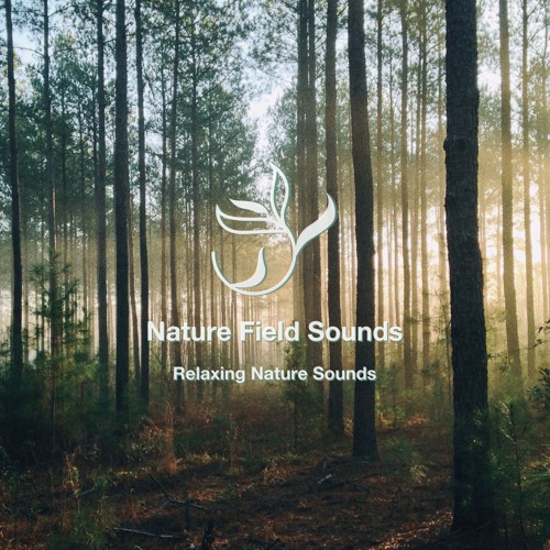 Stream Nature Field Sounds music | Listen to songs, albums, playlists ...