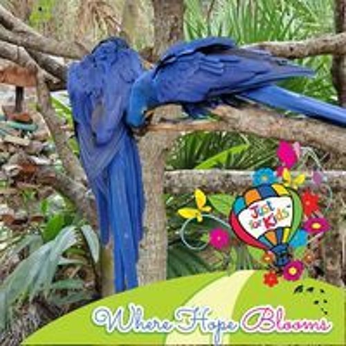 Stream Angela Stinson music | Listen to songs, albums, playlists for ...