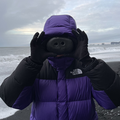 Stream Sneaks music | Listen to songs, albums, playlists for free on ...