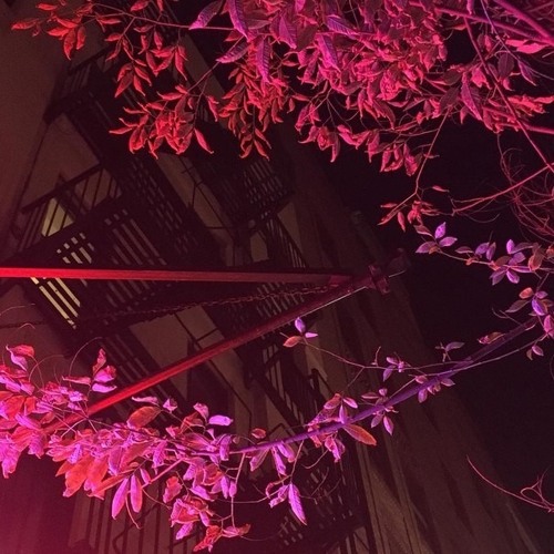 Stream Werty Q music | Listen to songs, albums, playlists for free on ...