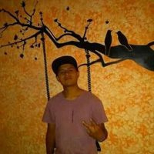 Stream Javier Baltazar Siles music | Listen to songs, albums, playlists ...