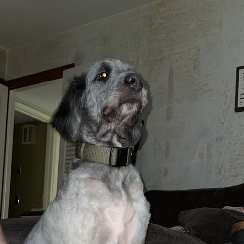 Stream Griffin Merritt music | Listen to songs, albums, playlists for ...