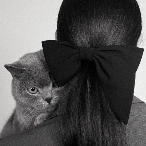 Stream ౨ৎ sendre music | Listen to songs, albums, playlists for free on ...