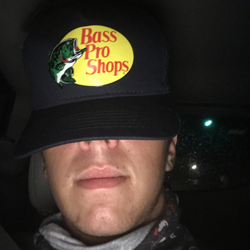 Stream Tyler Roar music | Listen to songs, albums, playlists for free ...