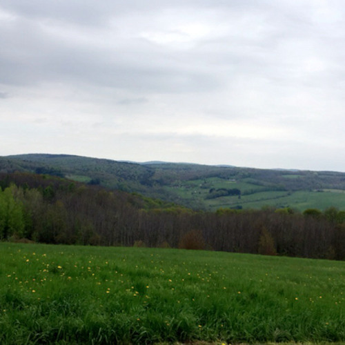 Stream Jake Burrell music | Listen to songs, albums, playlists for free ...