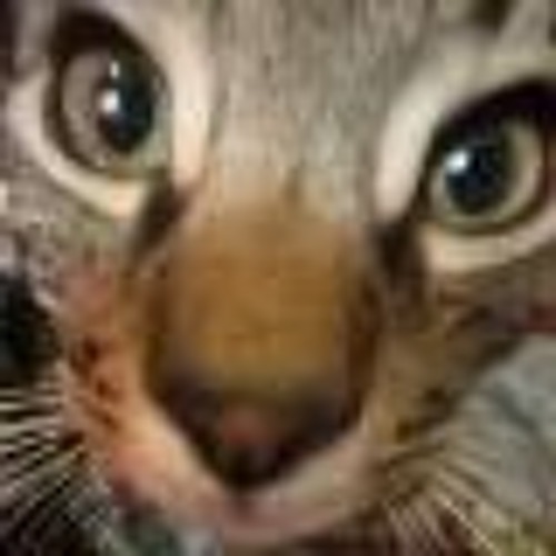 Stream Kerupt music | Listen to songs, albums, playlists for free on ...