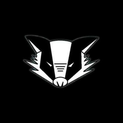 Stream d'braX music | Listen to songs, albums, playlists for free on ...