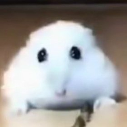 Stream oughhhh jghhgh music | Listen to songs, albums, playlists for ...