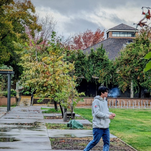 Stream Casey Spindler music | Listen to songs, albums, playlists for ...