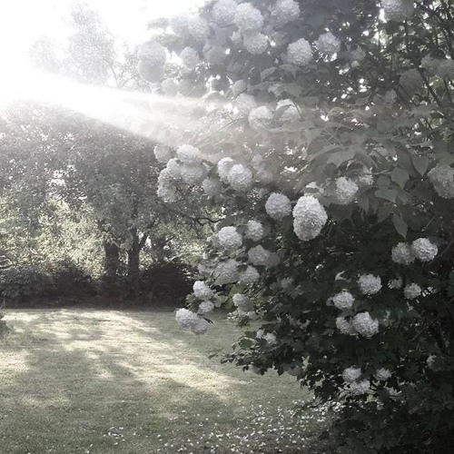 Stream m1v music | Listen to songs, albums, playlists for free on ...