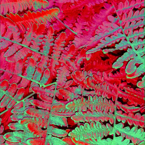 Stream Jonathan Hart music | Listen to songs, albums, playlists for ...