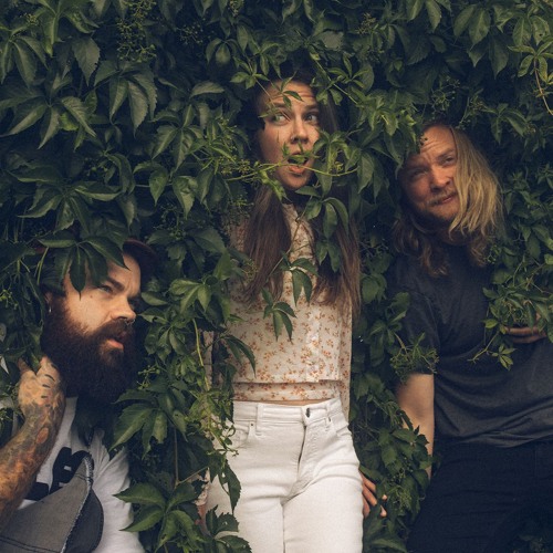 Stream Animal Future music | Listen to songs, albums, playlists for ...