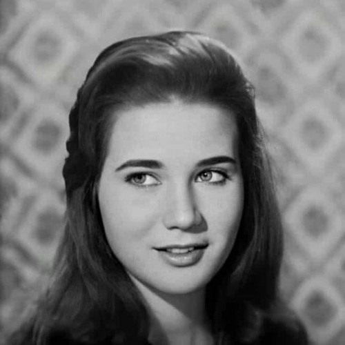 Stream Samah M. Aboeldahab music | Listen to songs, albums, playlists ...