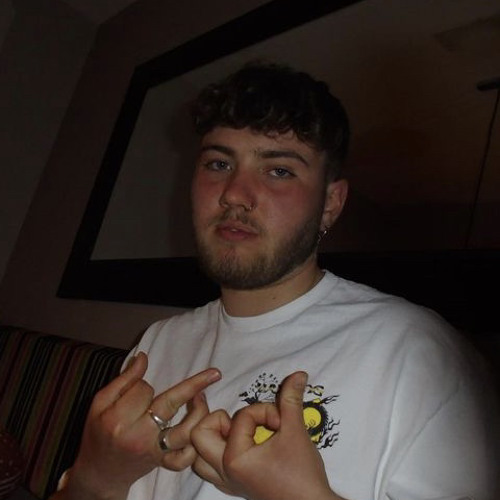 Stream Dan Rogan music | Listen to songs, albums, playlists for free on ...