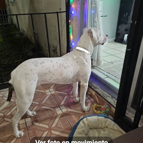 Stream yetty lopez music | Listen to songs, albums, playlists for free ...