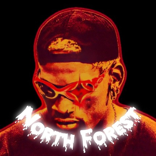 Stream 𝓝𝓸𝓻𝓽𝓱 𝓕𝓸𝓻𝓮𝓼𝓽 music | Listen to songs, albums, playlists for free ...