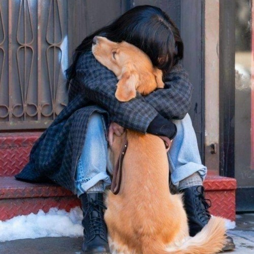 Stream Dada Queen music | Listen to songs, albums, playlists for free ...