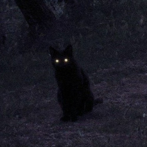 Stream PROD.FACE music | Listen to songs, albums, playlists for free on ...