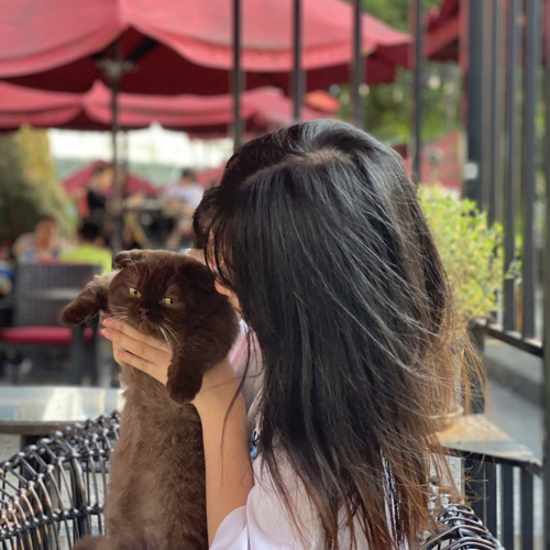 Stream Ng Chau Anh music | Listen to songs, albums, playlists for free on SoundCloud