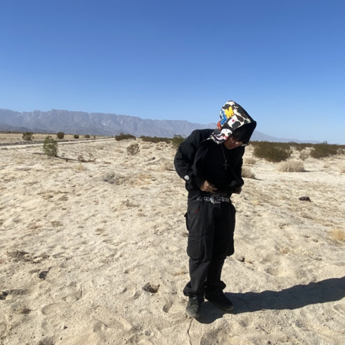 Stream GARV SB music | Listen to songs, albums, playlists for free on ...