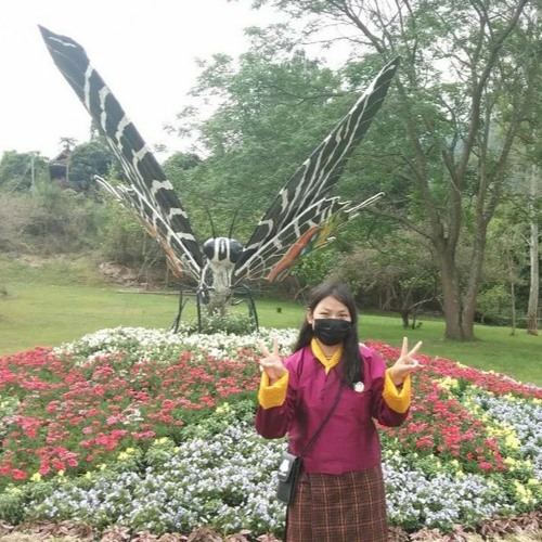 Stream pema youden music | Listen to songs, albums, playlists for free ...