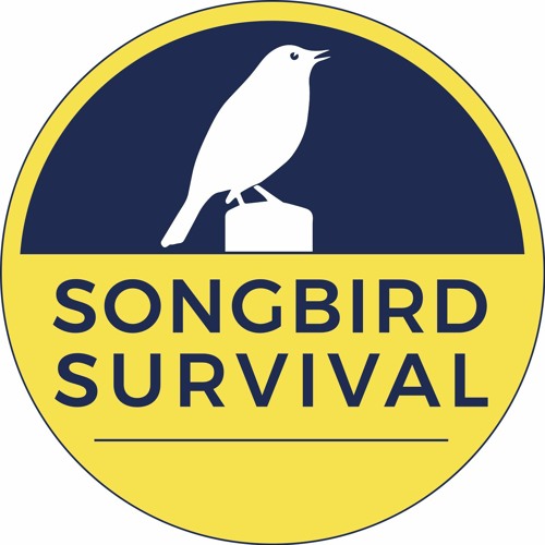 Stream SongBird Survival music | Listen to songs, albums, playlists for ...