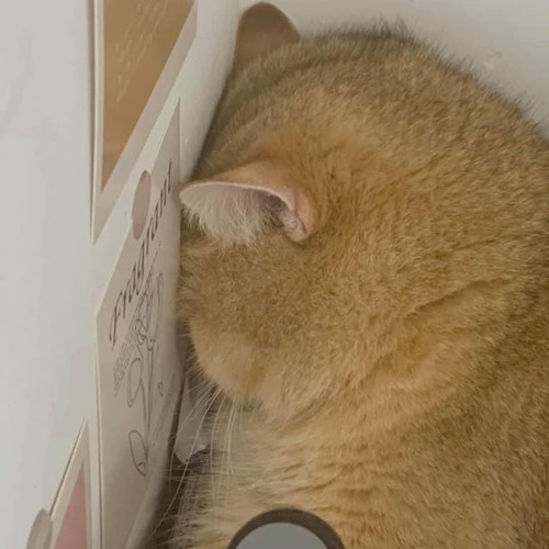 Stream 阿肆 - 热爱105°C的你「Super Idol的笑容都没你的甜」【动态歌词Lyrics】.mp3 by MaiRy ...