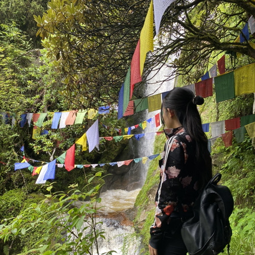 Stream Pem Dechen Dorji music | Listen to songs, albums, playlists for ...