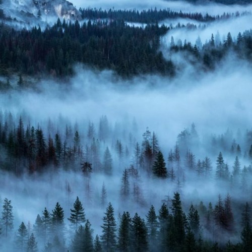 Stream Most Addictive music | Listen to songs, albums, playlists for ...