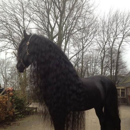 Stream GO CRAZY - GREAPA X CHERRI| Instrumental by 𝐀𝐳𝐳𝐚𝐫𝐢𝐭𝐡 | Listen ...