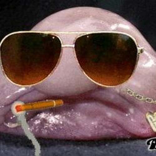 Stream Timmy & Tyrone brothers music | Listen to songs, albums ...