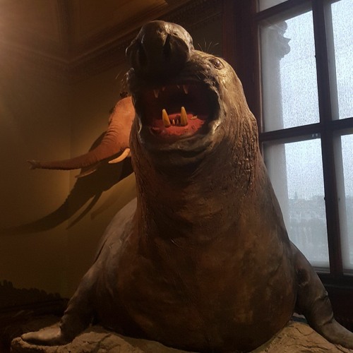 Stream Dr. Sandmann music | Listen to songs, albums, playlists for free ...