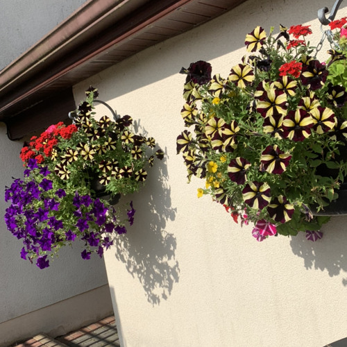 Stream Kay music | Listen to songs, albums, playlists for free on ...