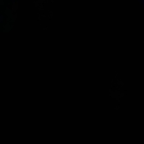 Stream Daniel music | Listen to songs, albums, playlists for free on ...