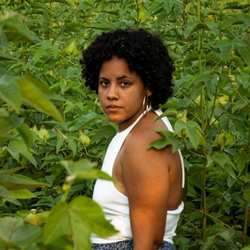 Stream Pilika music | Listen to songs, albums, playlists for free on ...