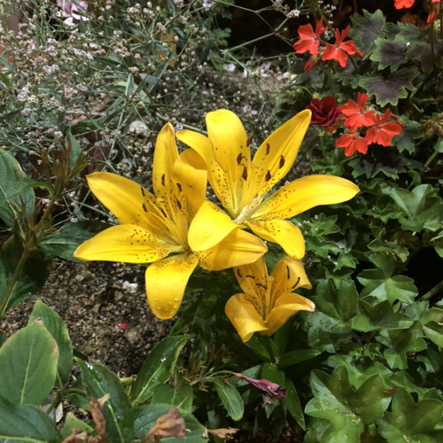 Stream GGDJ music | Listen to songs, albums, playlists for free on ...