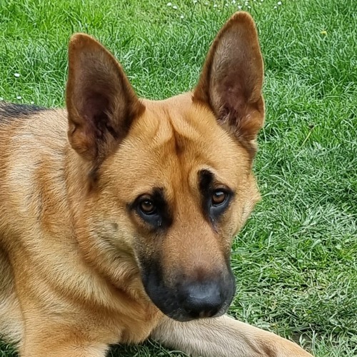 Stream Manic music | Listen to songs, albums, playlists for free on ...