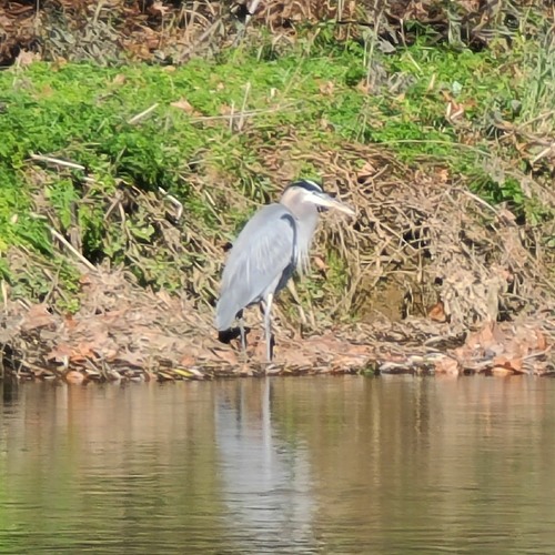 Stream Tigz music | Listen to songs, albums, playlists for free on ...