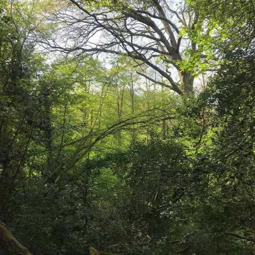 Stream Callum Coates-Keddy Synth music | Listen to songs, albums ...