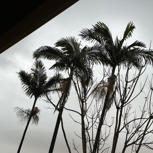 Stream Peter Cauchi music | Listen to songs, albums, playlists for free ...