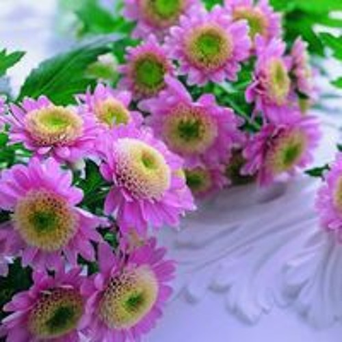 Stream Sandi Ko music | Listen to songs, albums, playlists for free on ...