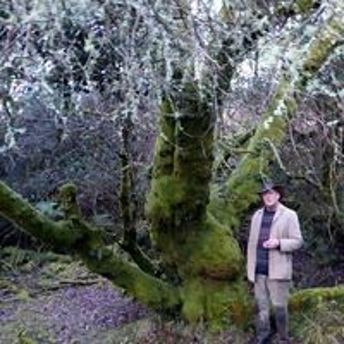 Stream Mike Collard music | Listen to songs, albums, playlists for free ...