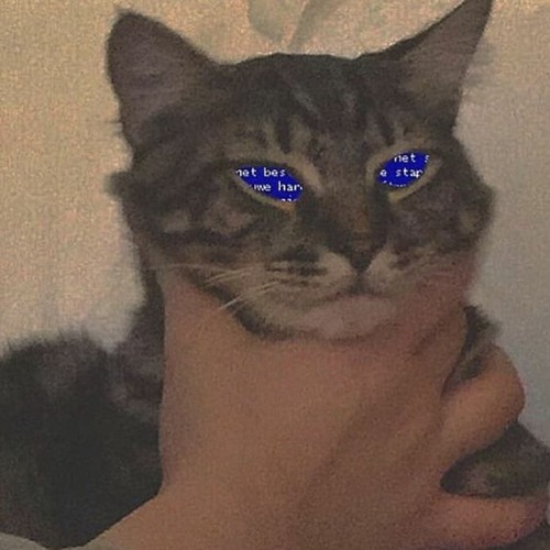 Stream Knight Mayor & Yash music | Listen to songs, albums, playlists ...