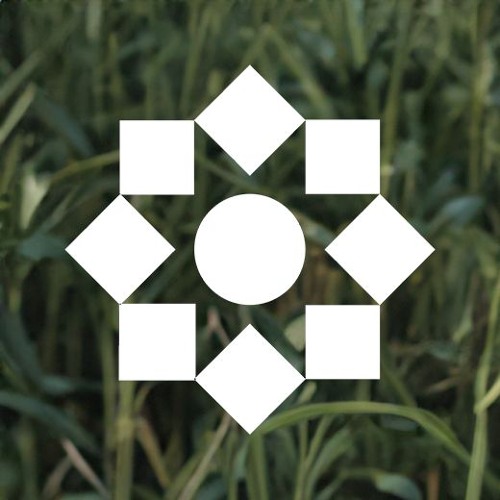 Aline Rocha Tracks / Remixes Overview