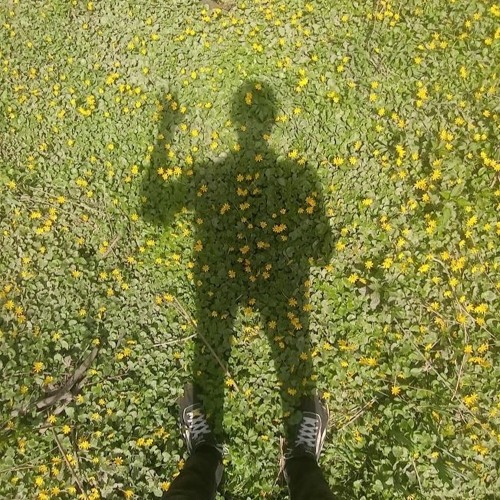 Stream Loren Law music | Listen to songs, albums, playlists for free on ...